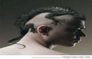 Funny Hairstyles For Men – Page 30 – Daily Fun Lists